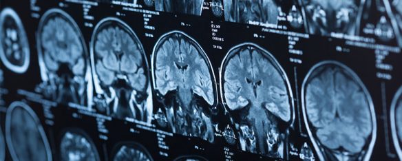 Coaching-Methode wingwave® - verstehen & einsetzen